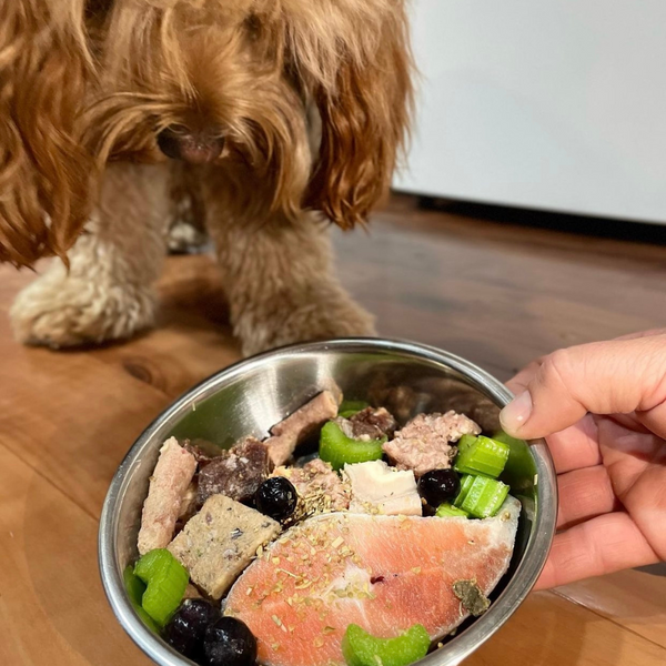 Premium Raw Pet Food Meals For My 5kg Dog - The Raw Dog Food Co